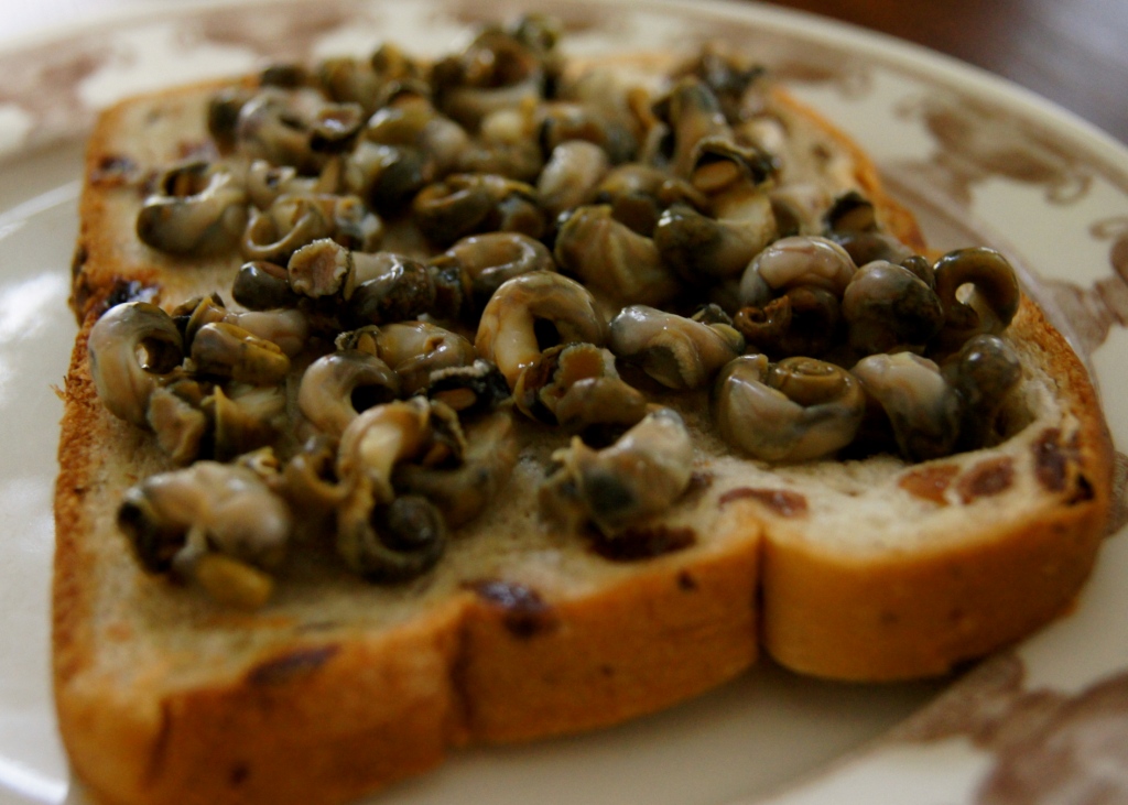 Krentenbrood met krukels en andere paastradities - Zeeuwse Ankers