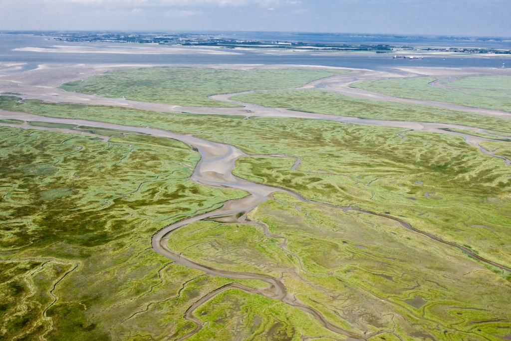Struinen door geulen, slikken en schorren - Zeeuwse Ankers