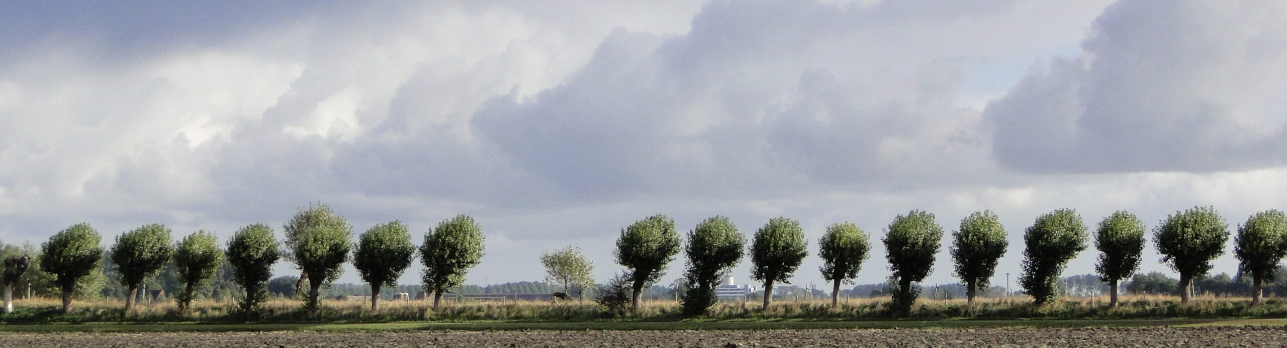 Zeeland - Dijkenland - Zeeuwse Ankers