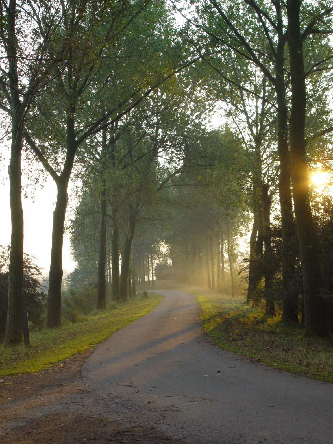 Zeeland - Dijkenland - Zeeuwse Ankers