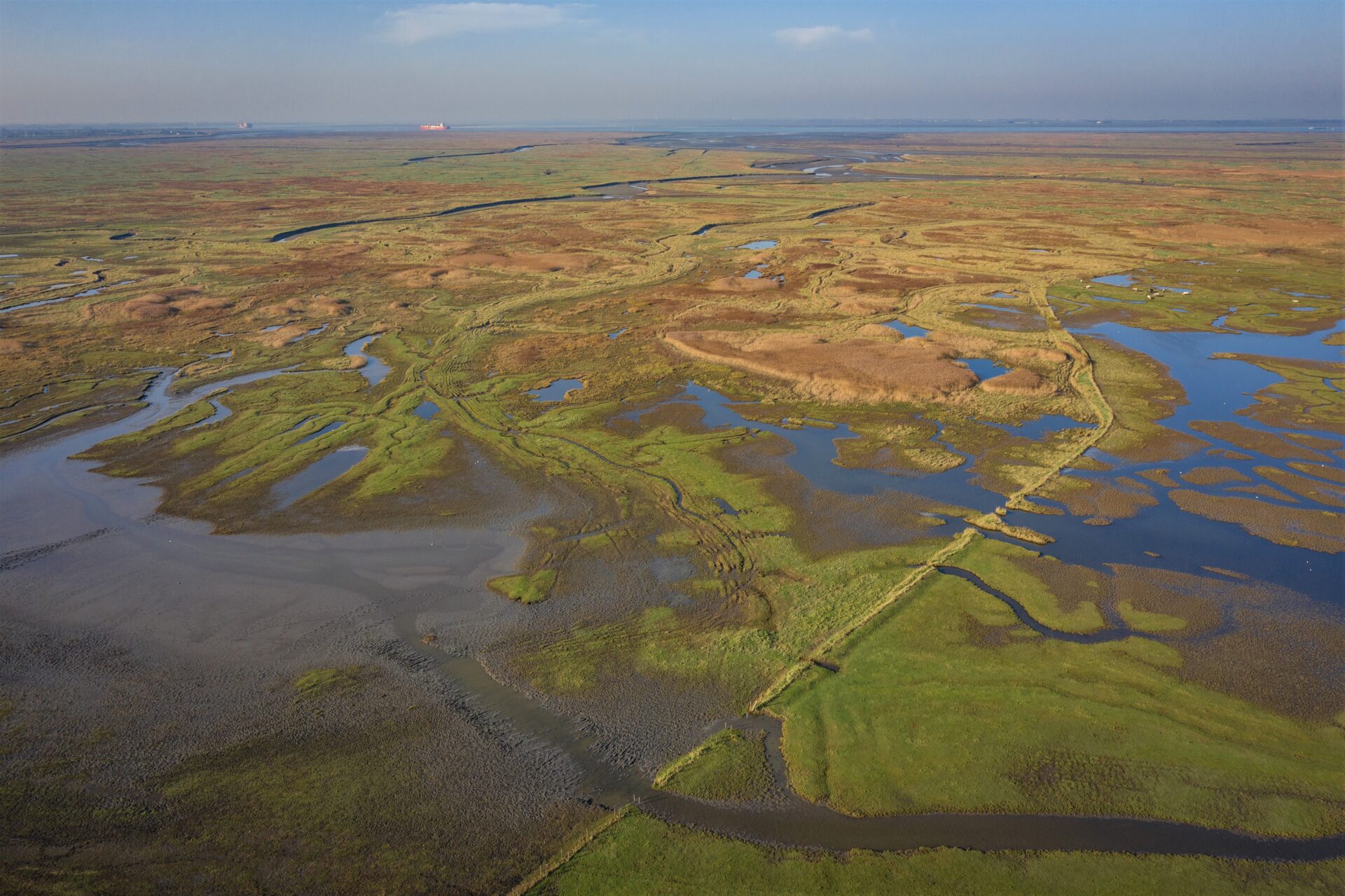 Verhaallijnen van het Geopark Schelde Delta - Zeeuwse Ankers