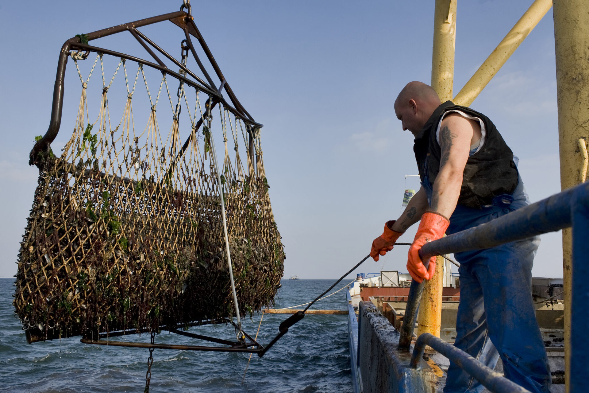 Zilt en zoet Archieven - Zeeuwse Ankers
